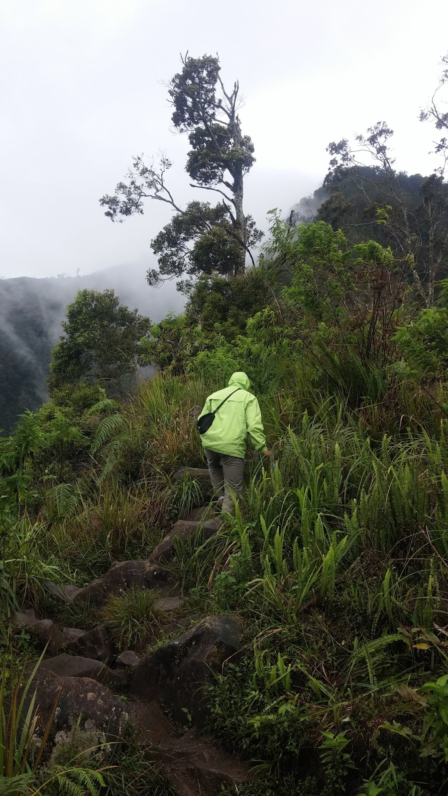 Puncak Mega Gunung Puntang 2222 Mdpl di Bandung Selatan