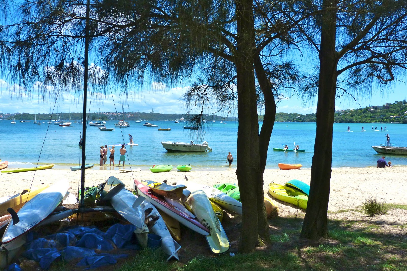 beachcomber: boat people