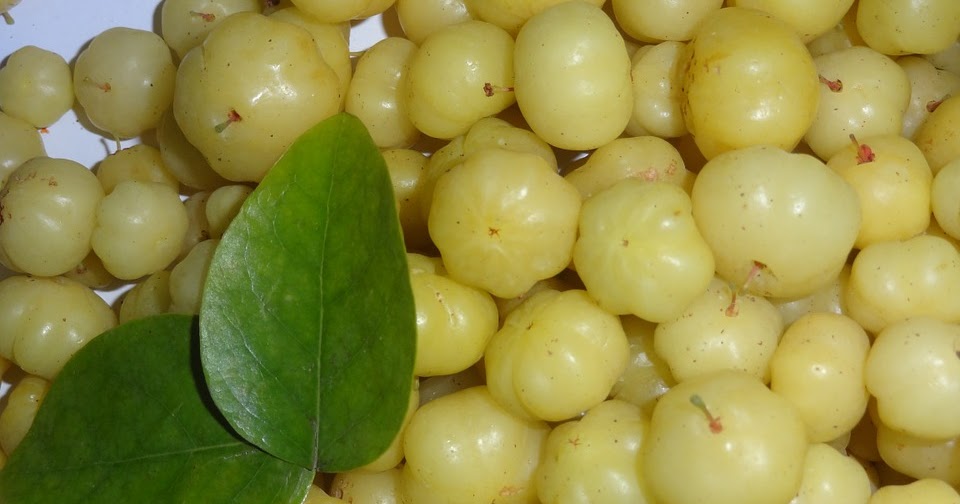 Amla recipe - NATURE ELEMENTS