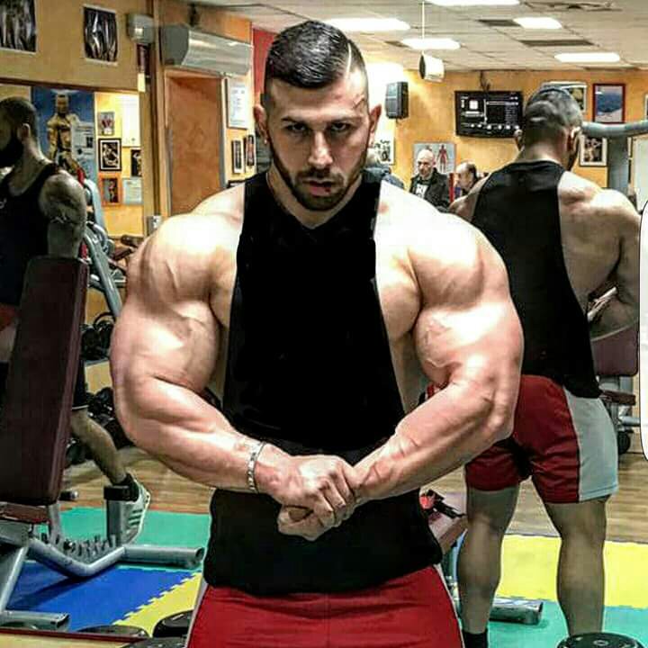 Worldwide Bodybuilders: Italian muscle horse Andrea Muzi
