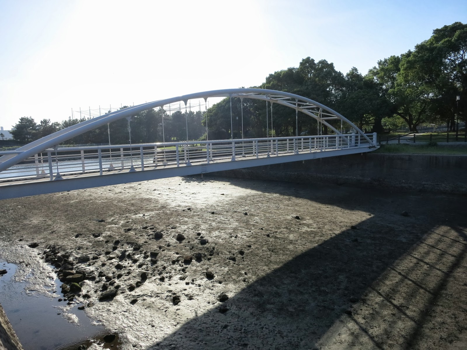 Bridge of the Week: Kagoshima Prefecture, Japan's Bridges: 5 ...