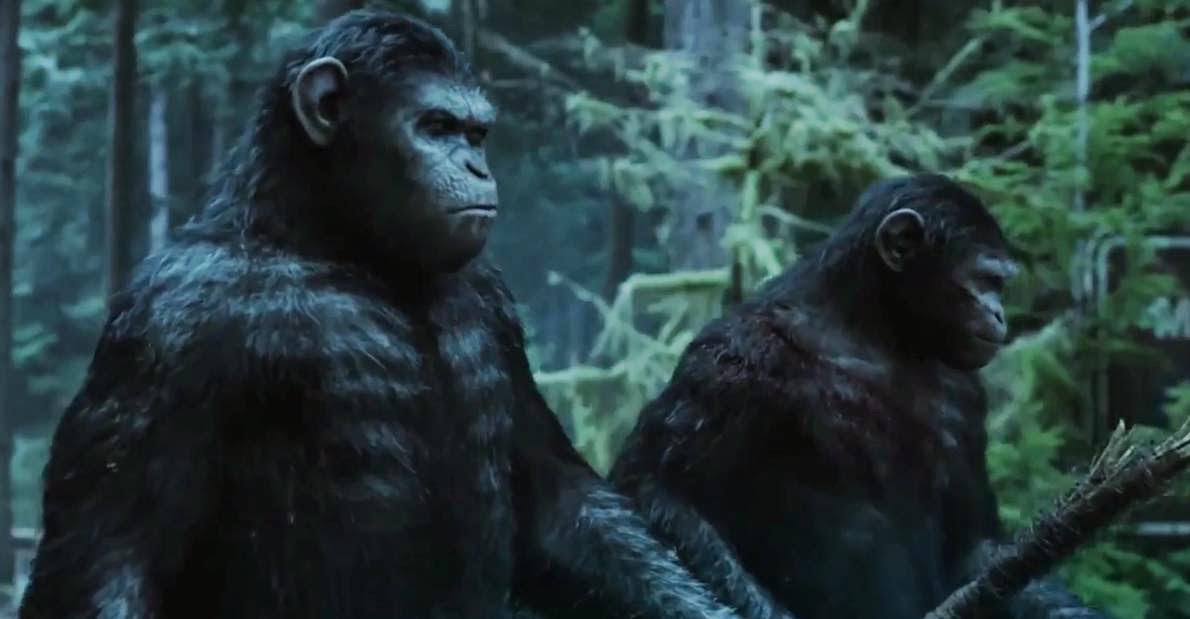 EL PLANETA DE LOS SIMIOS: CONFRONTACIÓN (DAWN OF THE PLANET OF THE APES ...