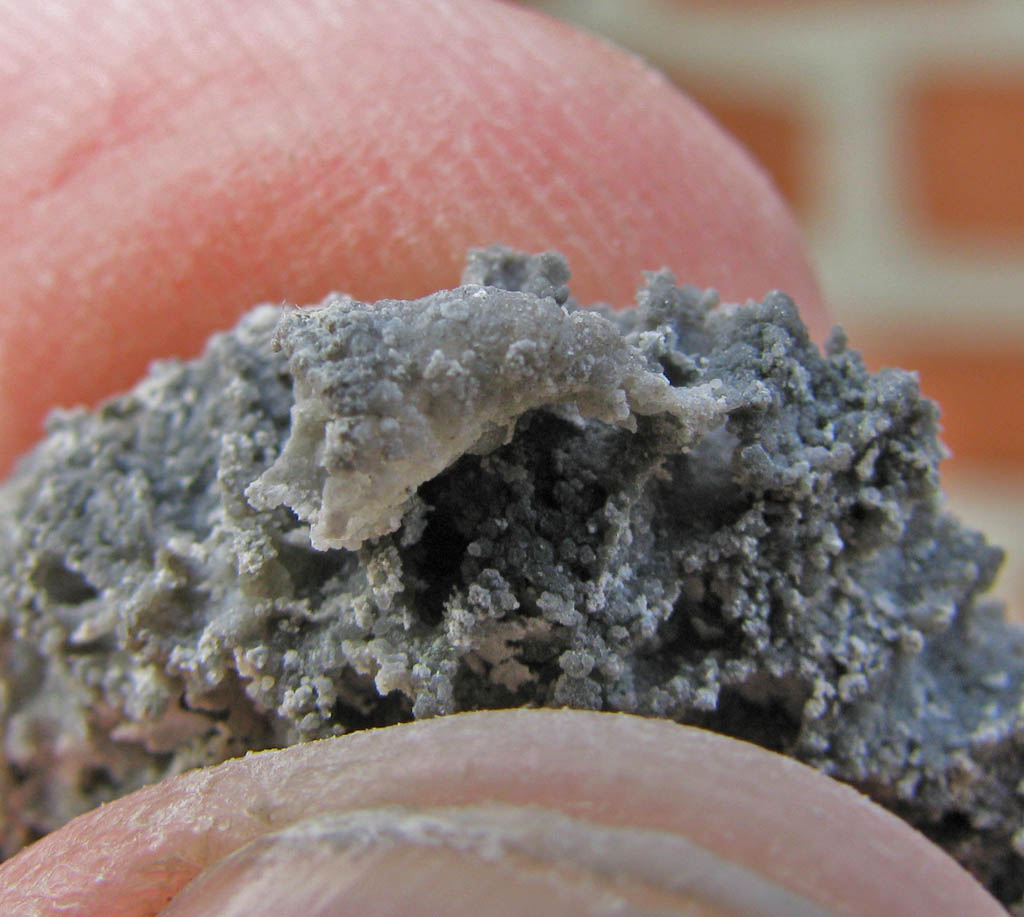 Views of the Mahantango: Beekite preserved fossils