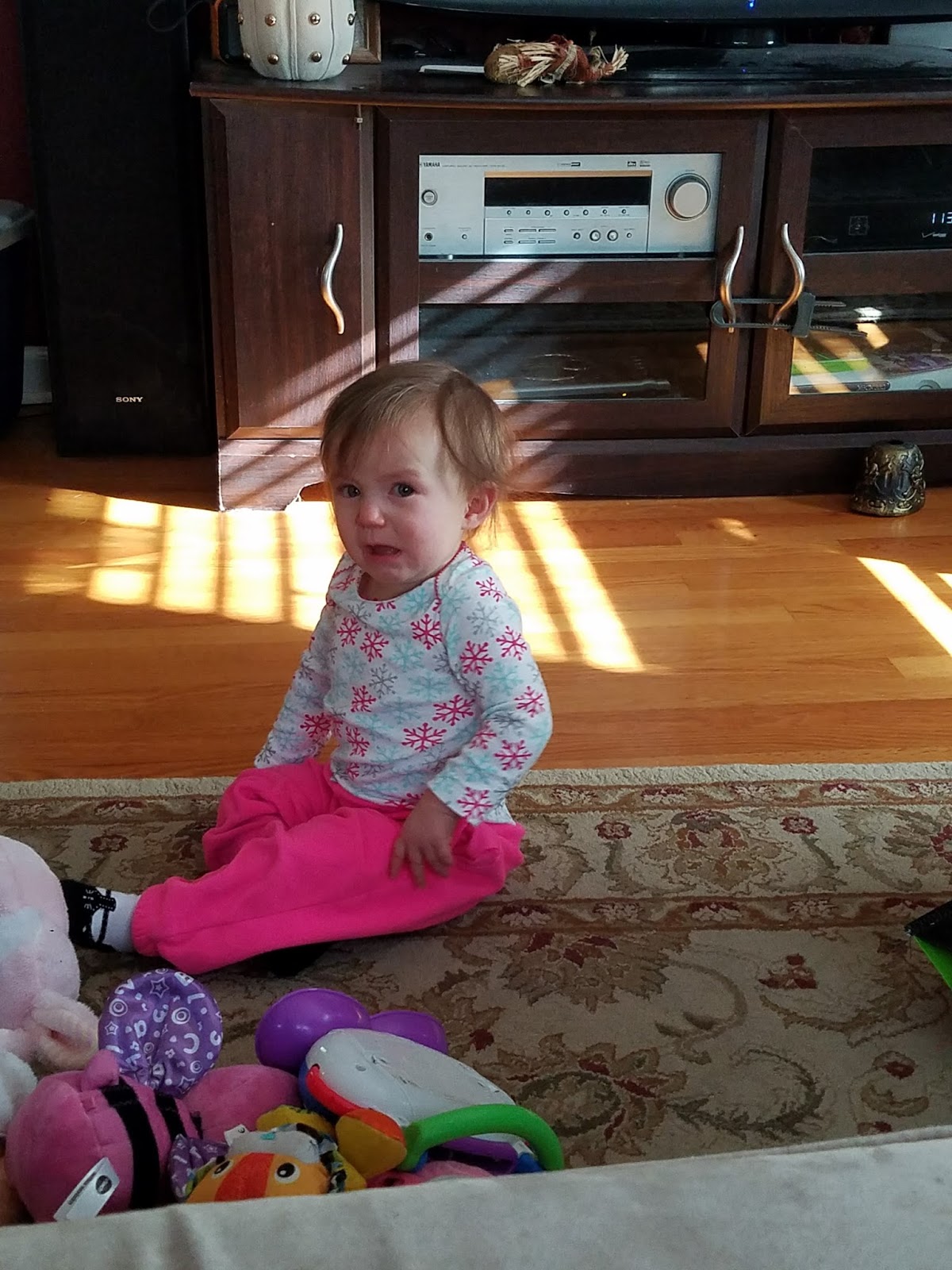 the-buggy-list-11-12ths-of-a-year