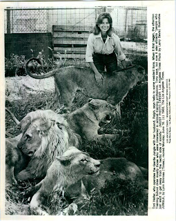 The Circus "NO SPIN ZONE": Tony Ringo Helfer "Gentle Jungle" 1980