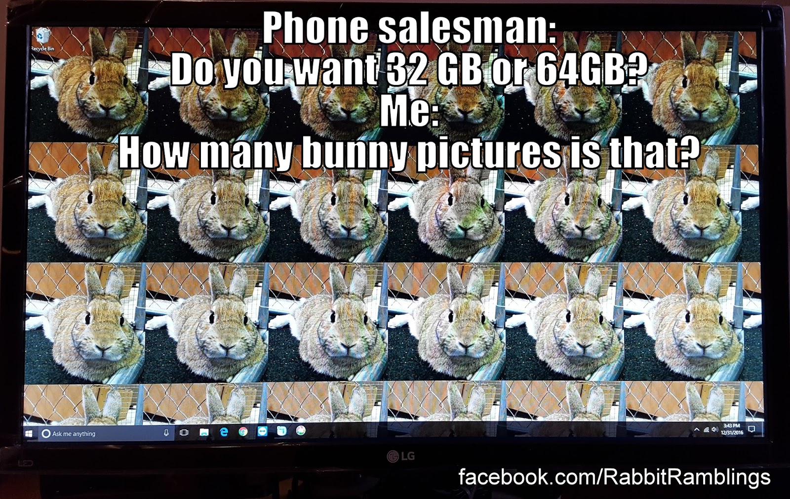 Rabbit Ramblings: RR Funny Bunny Memes