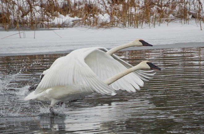 Jasper National Park in Alberta, Canada. Ski Holiday Destination.