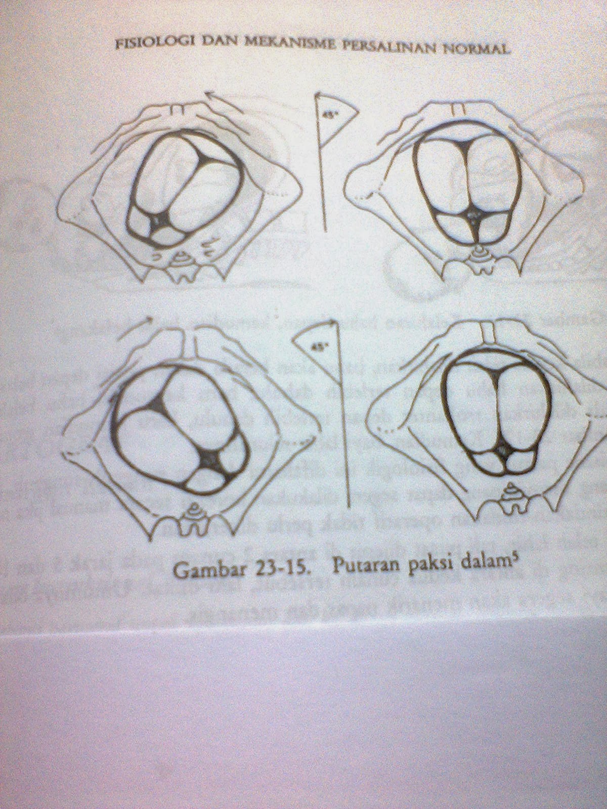 Belajar Yuk!: Mekanisme Persalinan