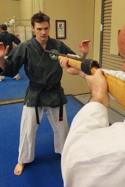 Seiyo Shorin-Ryu Karate & Kobudo Hombu: Best Karate School of Mesa, Arizona