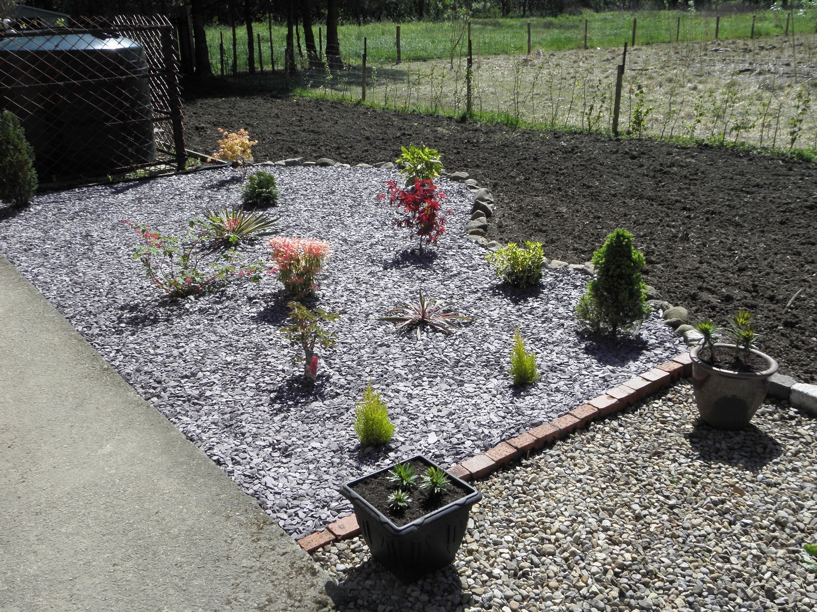 where eagles fear to perch: DIY landscaping of the extended garden....