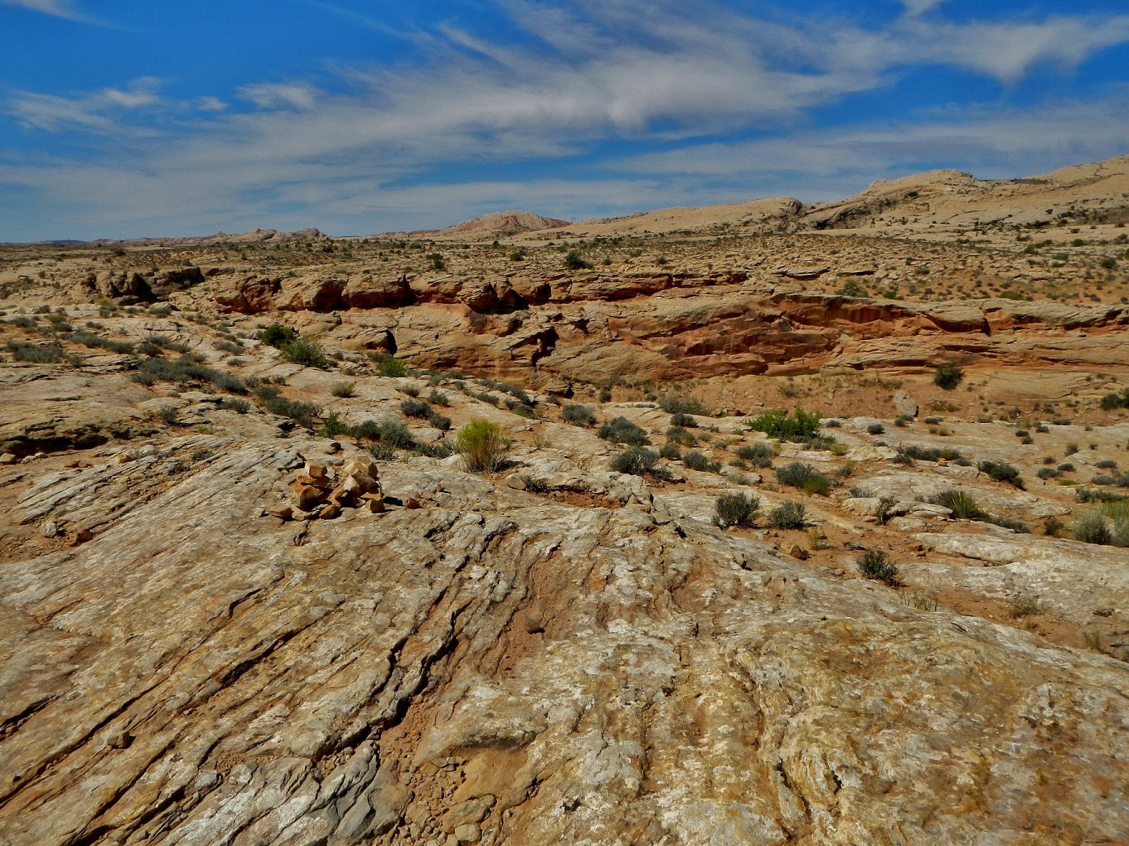 The Southwest Through Wide Brown Eyes: Wolfman Panel and Ruins - Comb ...