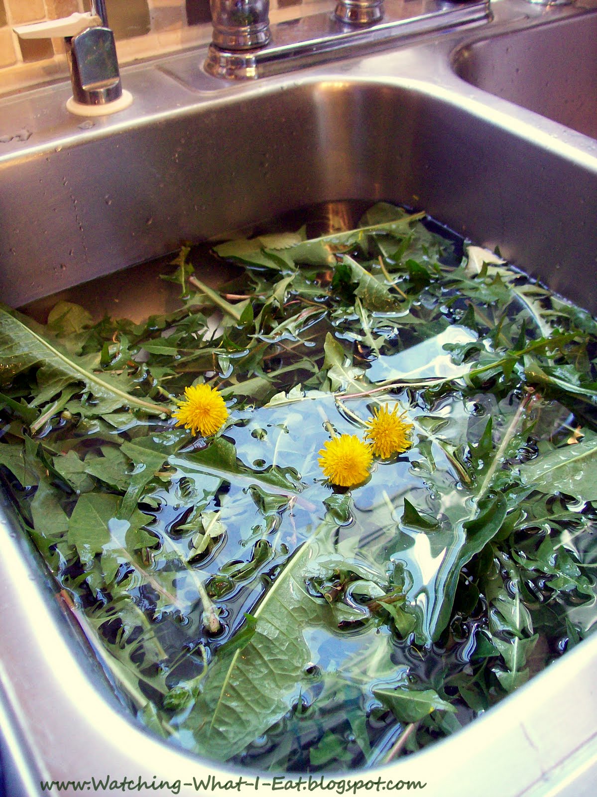 Watching What I Eat: Cooking with Dandelions ~ Fritters, pancakes ...