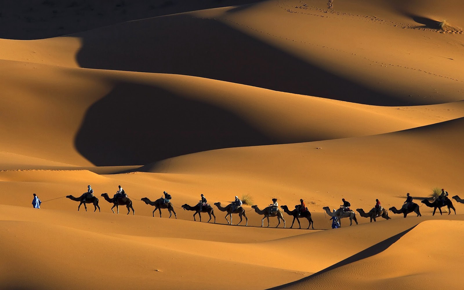 HD woestijn achtergronden en foto's