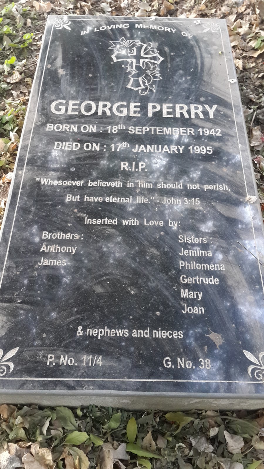 guava gardens: George Perry 1942--1995