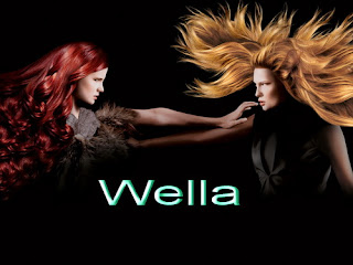 History of All Logos: All Wella Logos
