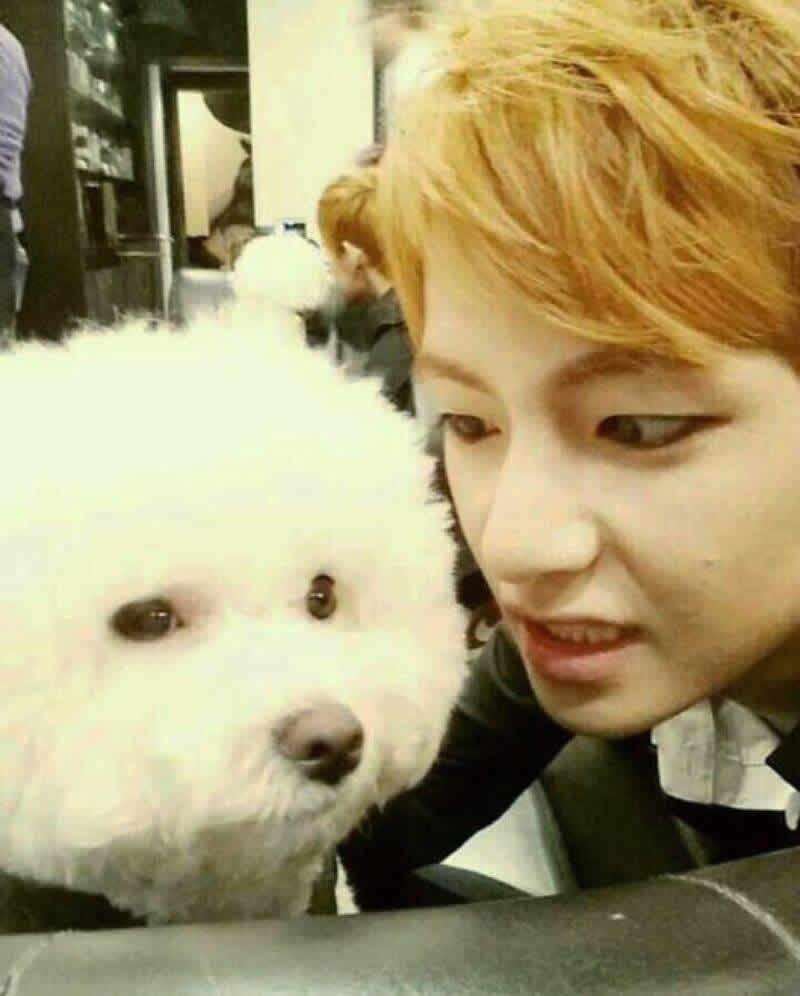 Los 8 amigos pequeños de BTS que muy pocos fans conocen ~ Espacio Kpop