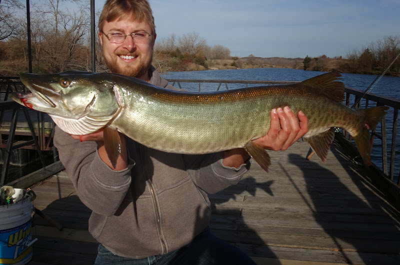 Ben Cantrell's fish species blog: Muskellunge