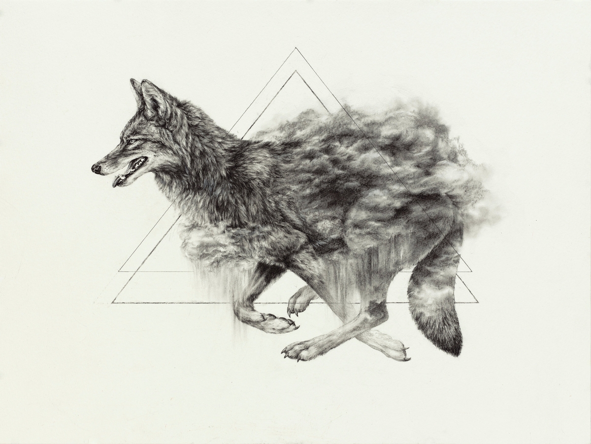 Design Stack: A Blog about Art, Design and Architecture: Animal ...