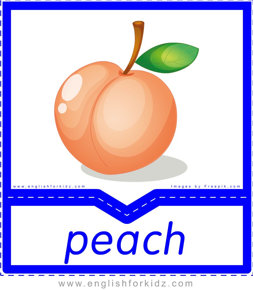 Fruits & Vegetables Flashcards. Part 4.