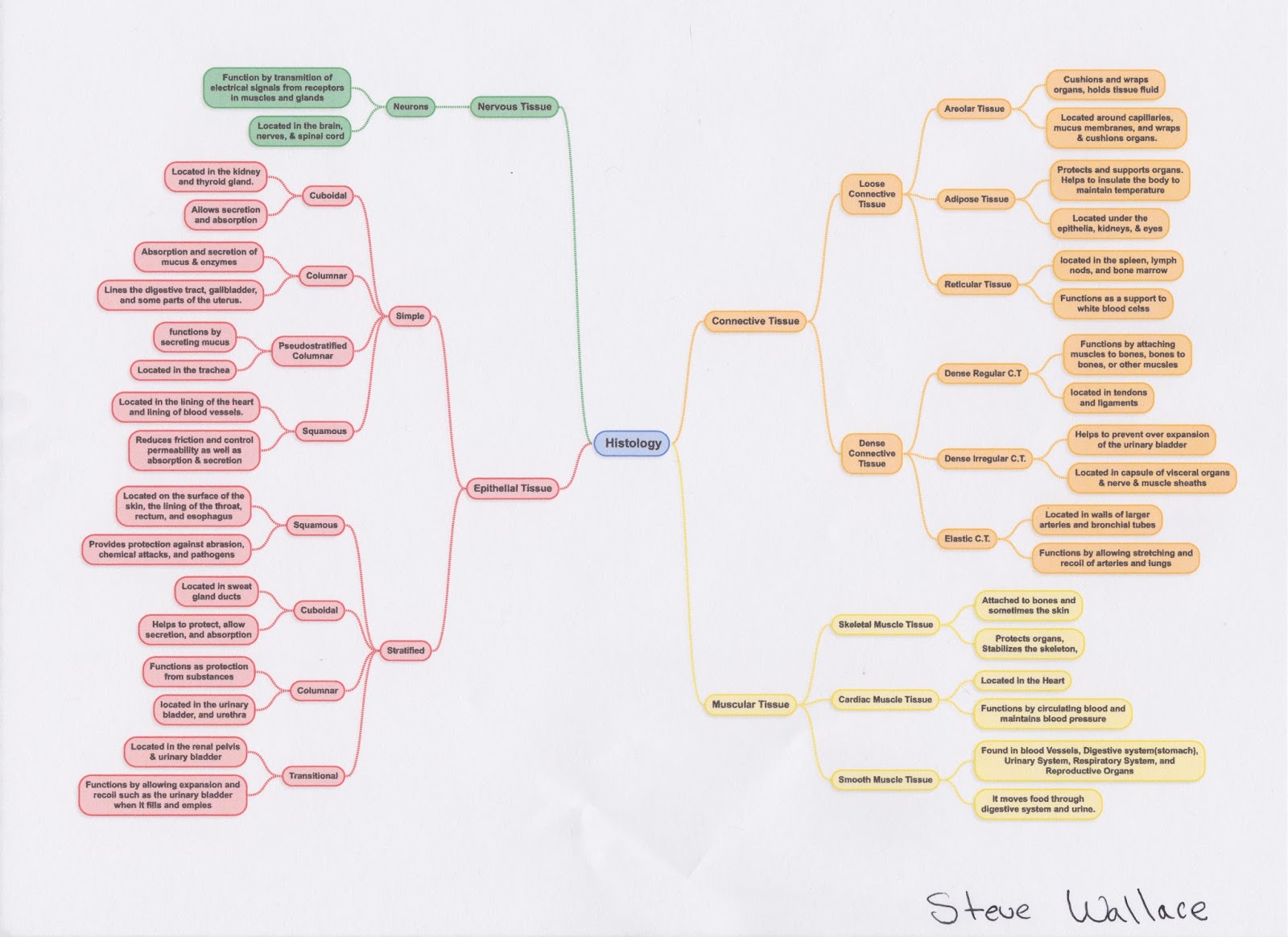 BIOL& 241 | Human Anatomy & Physiology 1 – Spring 2017: April 2017
