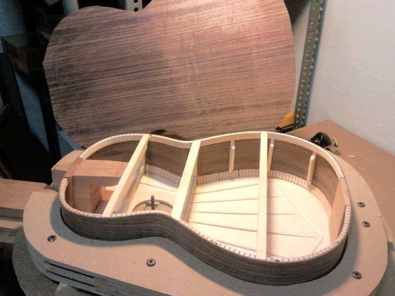 Sen's Guitar Making Blog: Back struts