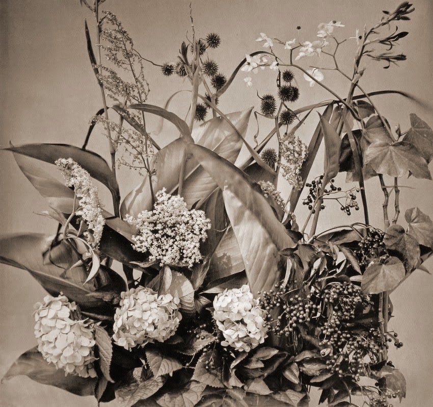 Antique and Classic Photographic Images: Fleurs (Flowers), 1860s