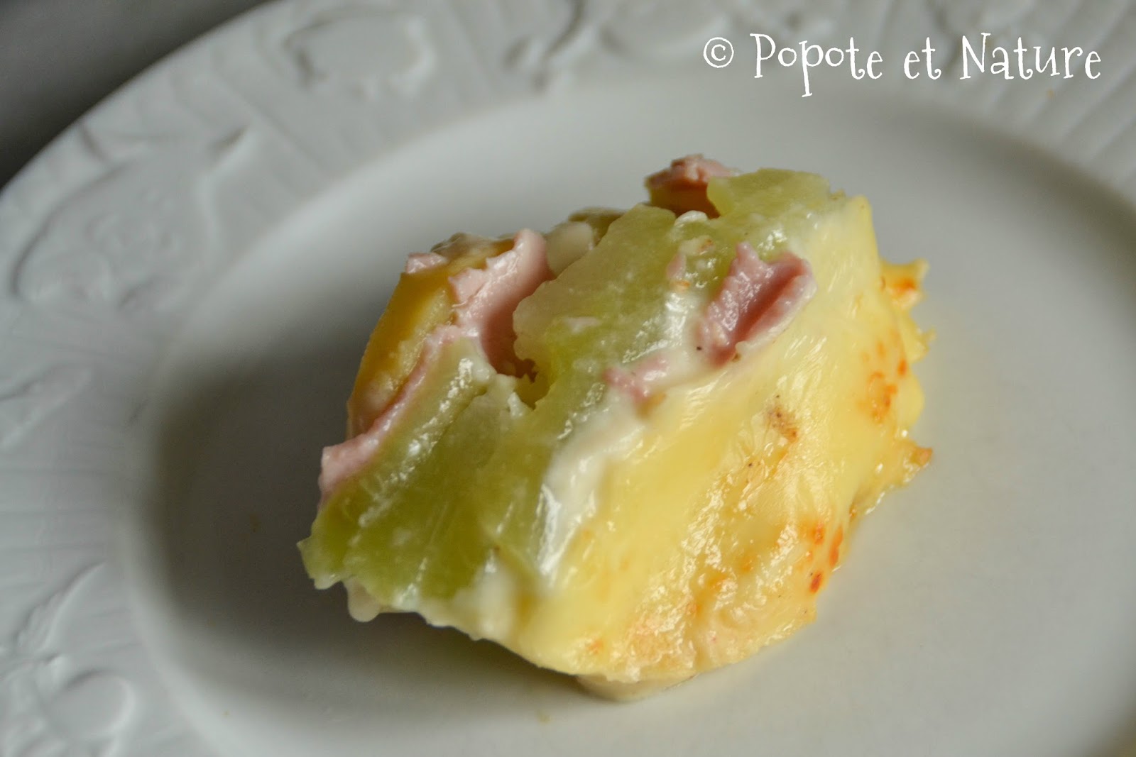 Popote et Nature: Que faire avec des chayottes/christophines ? un ...