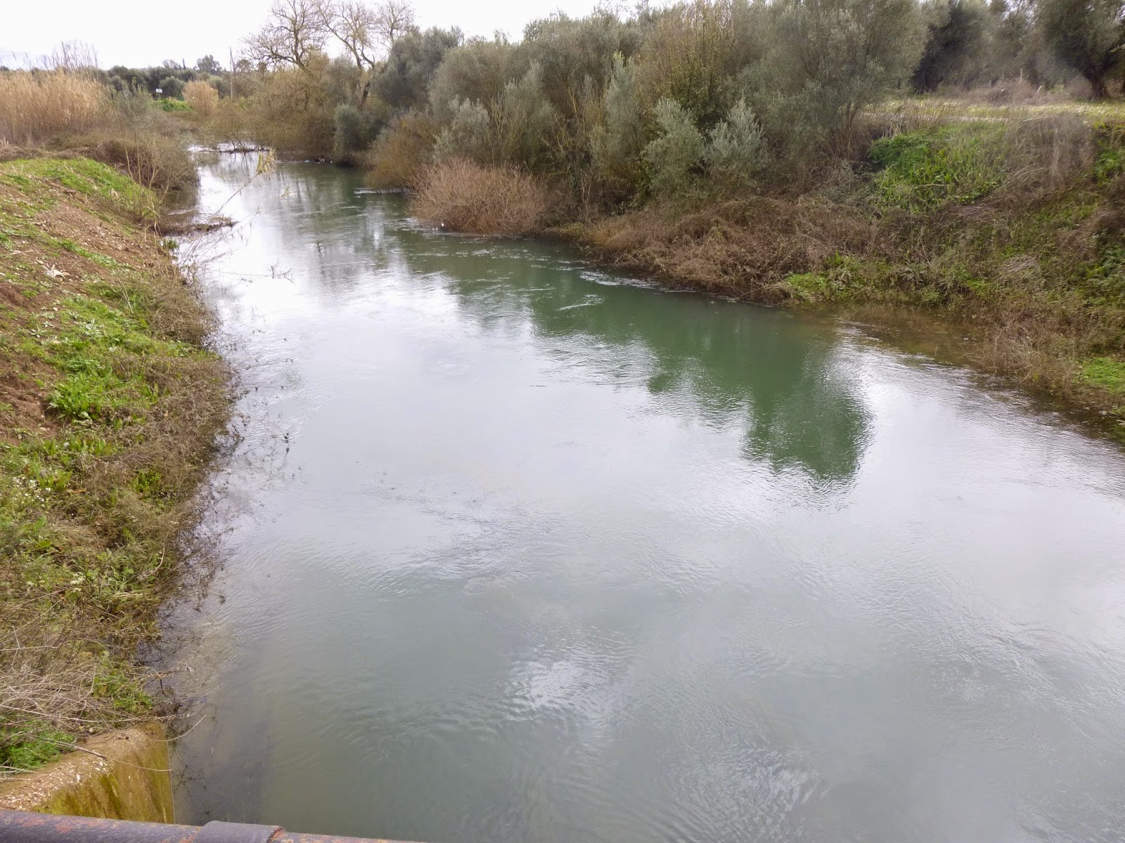 ΓΙΑΝΝΗΣ Δ.ΛΥΡΑΣ: ΞΑΝΑΡΘΕ Η ΑΝΟΙΞΗ ΜΕ ΤΑ ΧΡΩΜΑΤΑ, ΤΑ ΑΡΩΜΑΤΑ ΚΑΙ ΤΙΣ ...