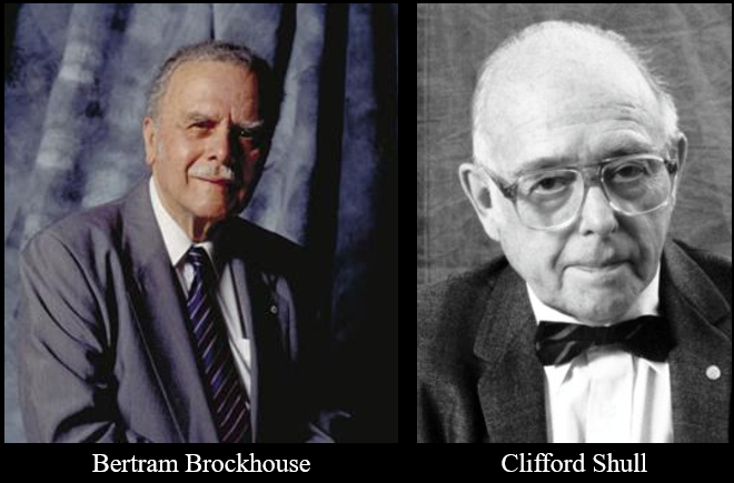 História em Imagens: Vencedores dos Prémios Nobel - 1991 a 1994