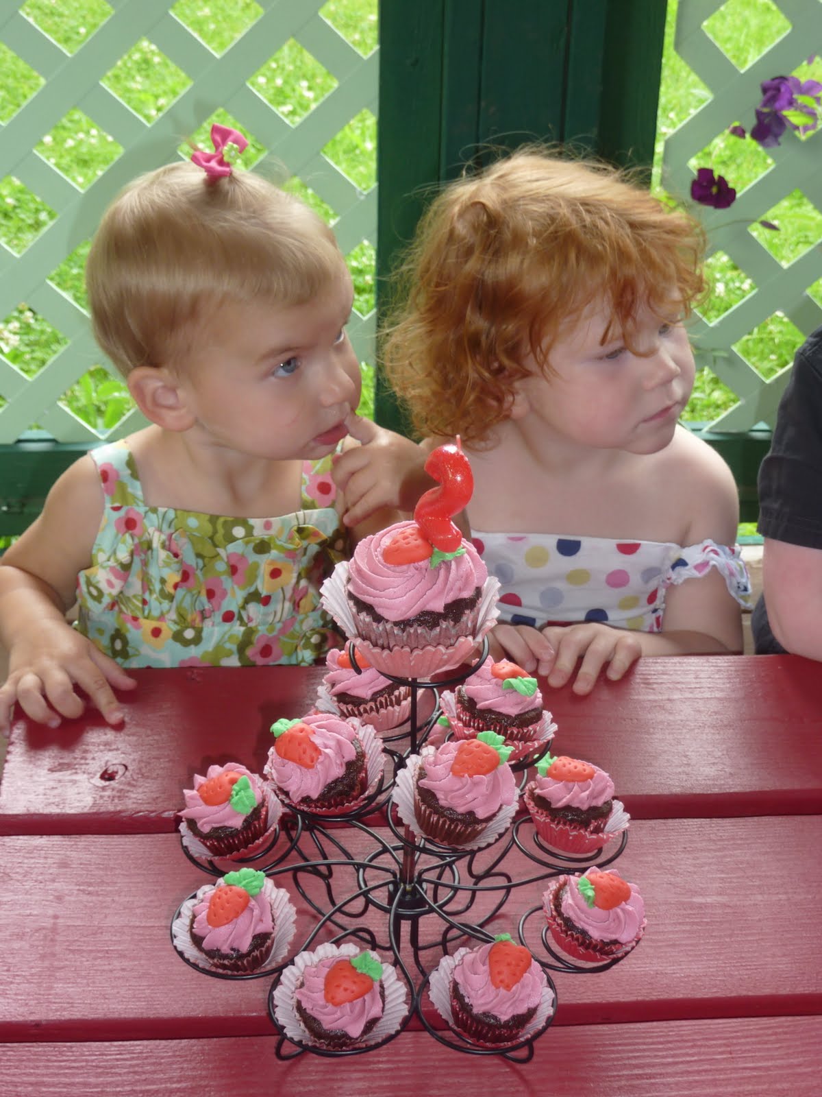 Delicately Sweet Confections: Ashlynn's 2nd Birthday ~ Little Miss ...