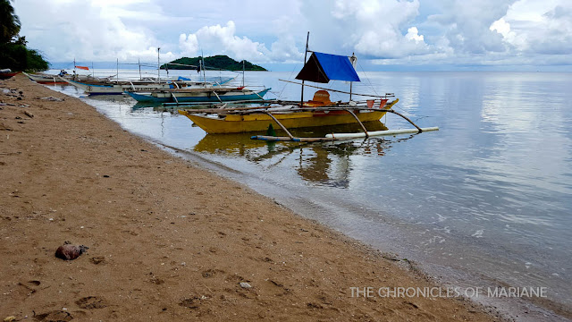 Back Home in Mandaon, Masbate | The Chronicles of Mariane