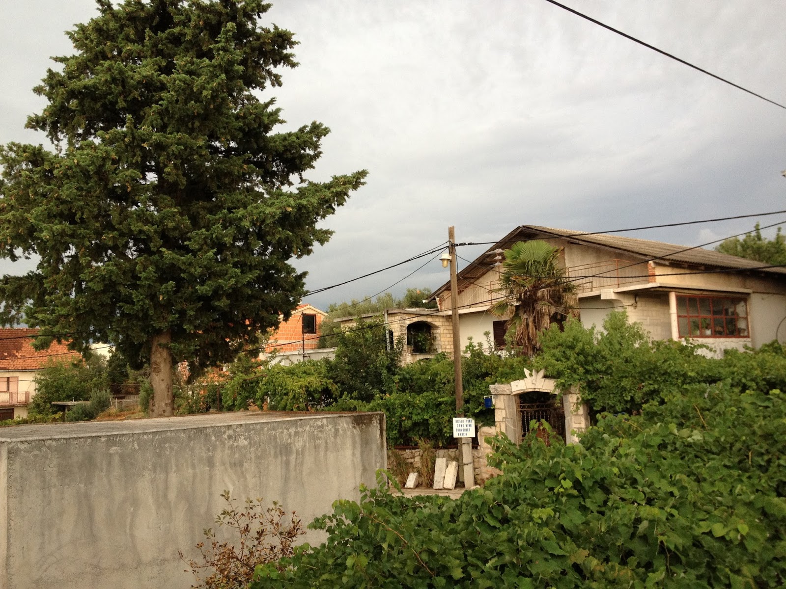 Barbara DuBois Hageman, Artist