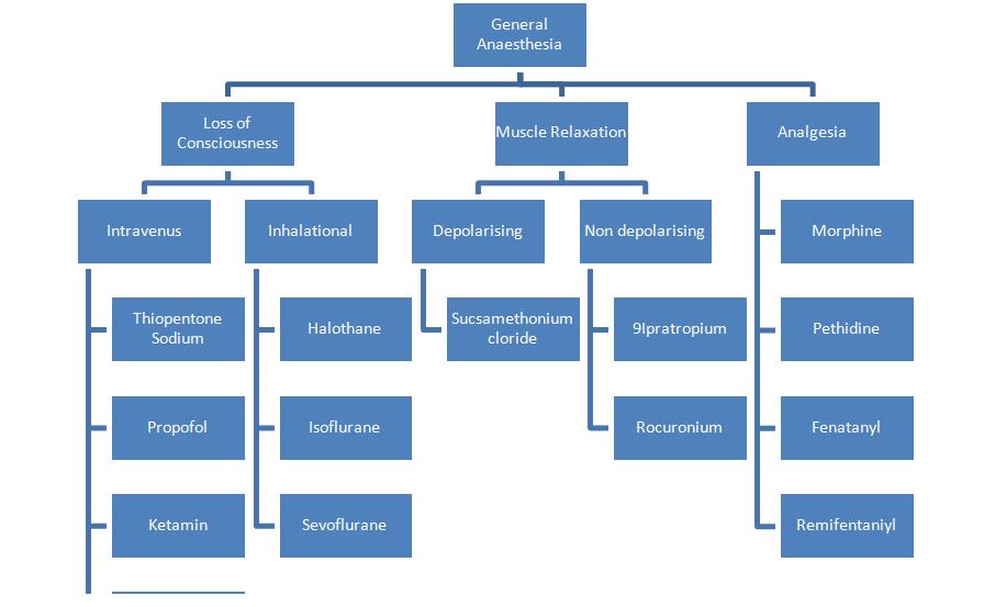 eHealth: General Anaesthesia