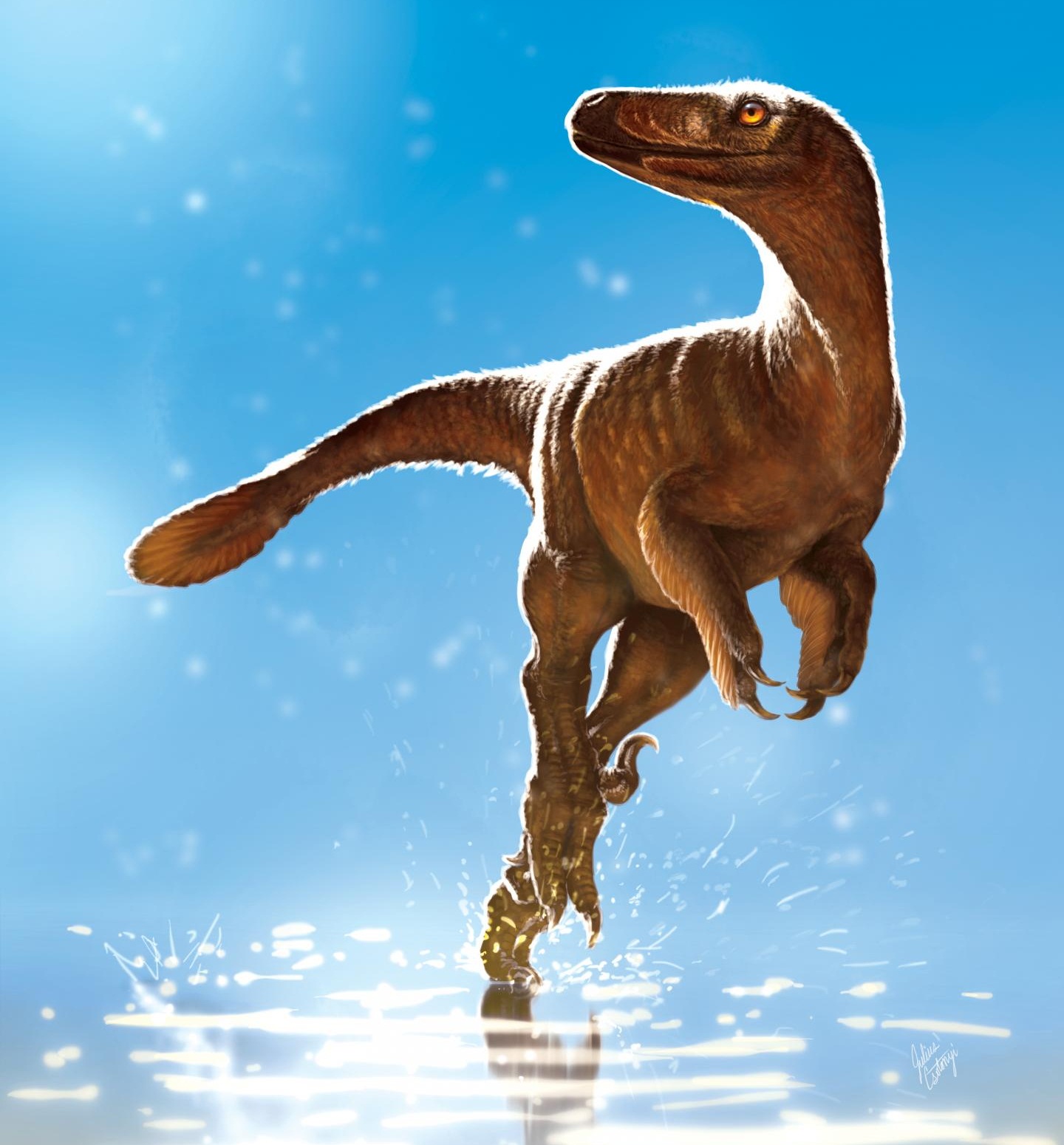 Species New to Science: [Paleontology • 2017] Troodontids (Theropoda ...