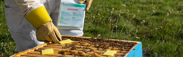 CORONA APICULTORES: THYMOVAR - TRATAMIENTO CONTRA LA VARROA