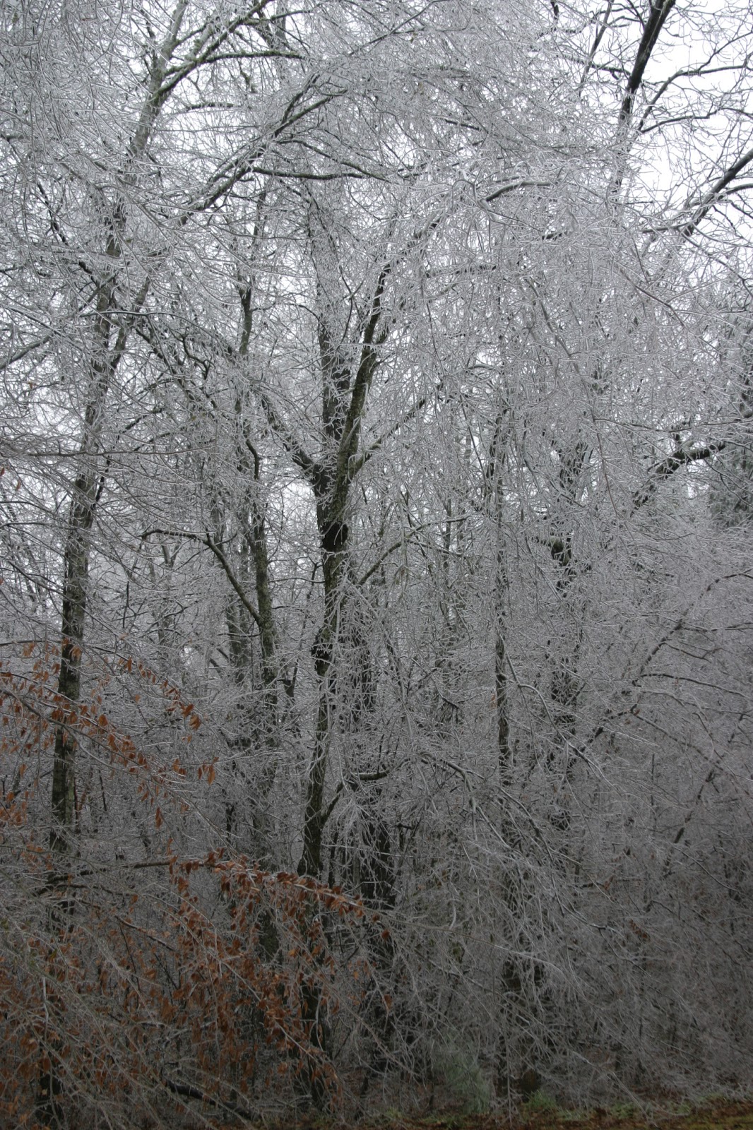 My Life as an Asthma Mom: Dry air in winter-use a humidifier?