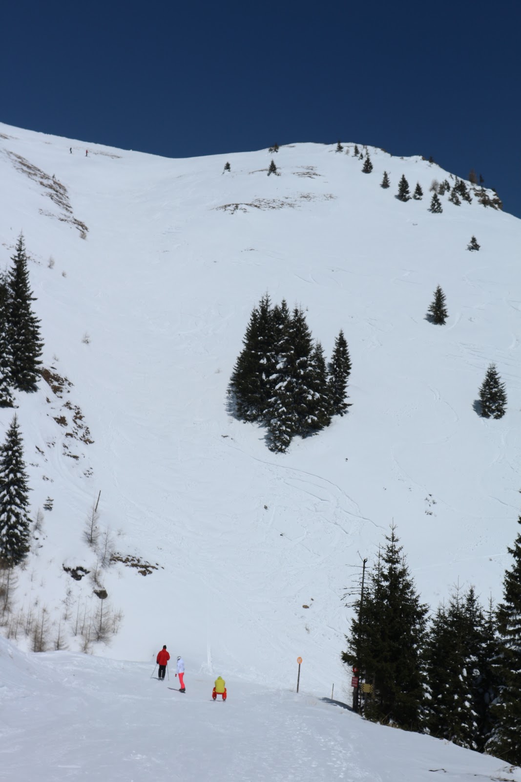 Pe drumul cel bun: Valea Dorului