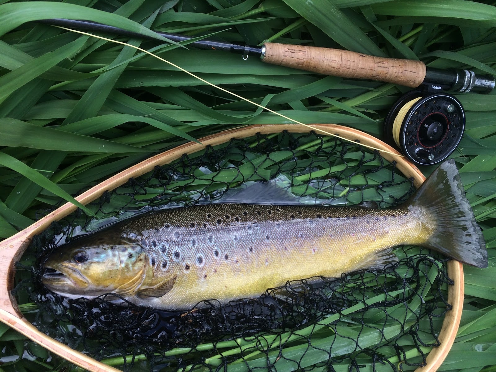 James' Angling Adventures.: Chalkstream Trout.