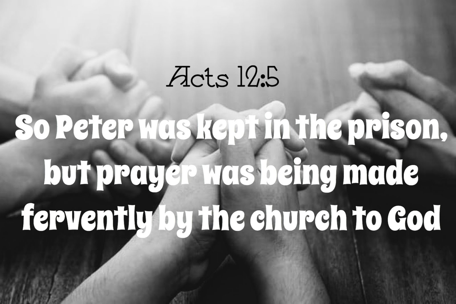 Peter Knocked, Rhoda was Shocked, and the Saints Mocked {Acts 12 ...