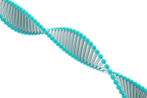 Biologi Molekuler Mempelajari Tentang Makromolekul, Lipid, Protein dan ...