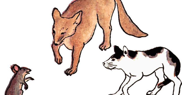 New Day : The Tiger, The Cat and The Rats (Tales)