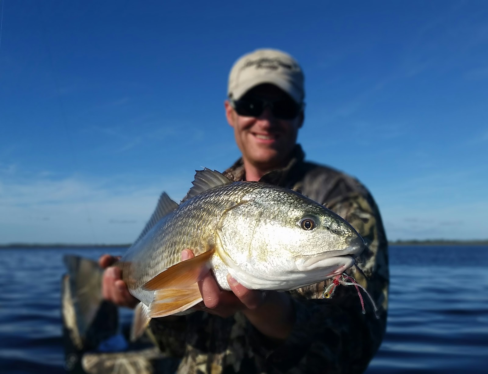 Always travel with fishing gear: Kit's Tackle: Glass Minnows on Pamlico ...