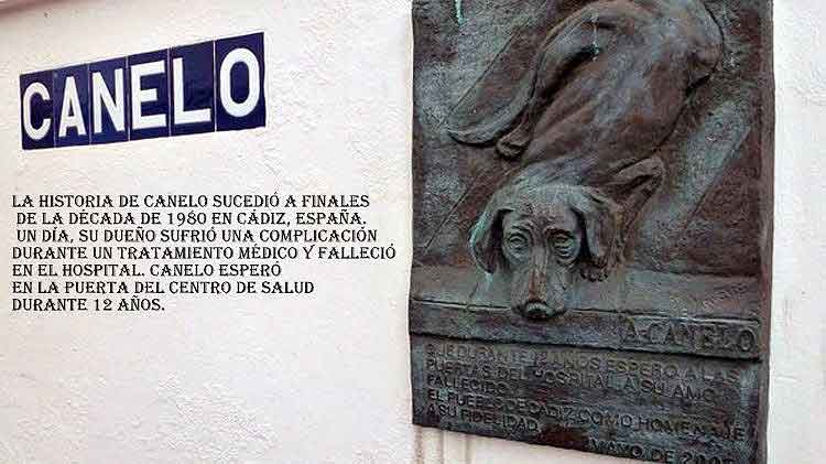 EMS SOLUTIONS INTERNATIONAL by @DrRamonReyesMD marca registrada ...