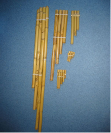 Centro Cultural Autoctono Sartañani Wasuru Qhanampi: "JULA - JULAS"