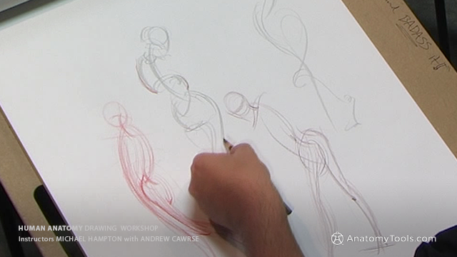 AnatomyTools.com: On-Site Workshop Photo albums: Michael Hampton ...