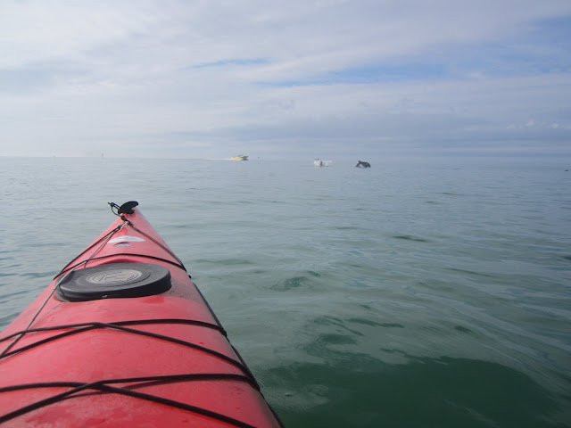 Dave's Yak Tales: Fort De Soto, Shell Key