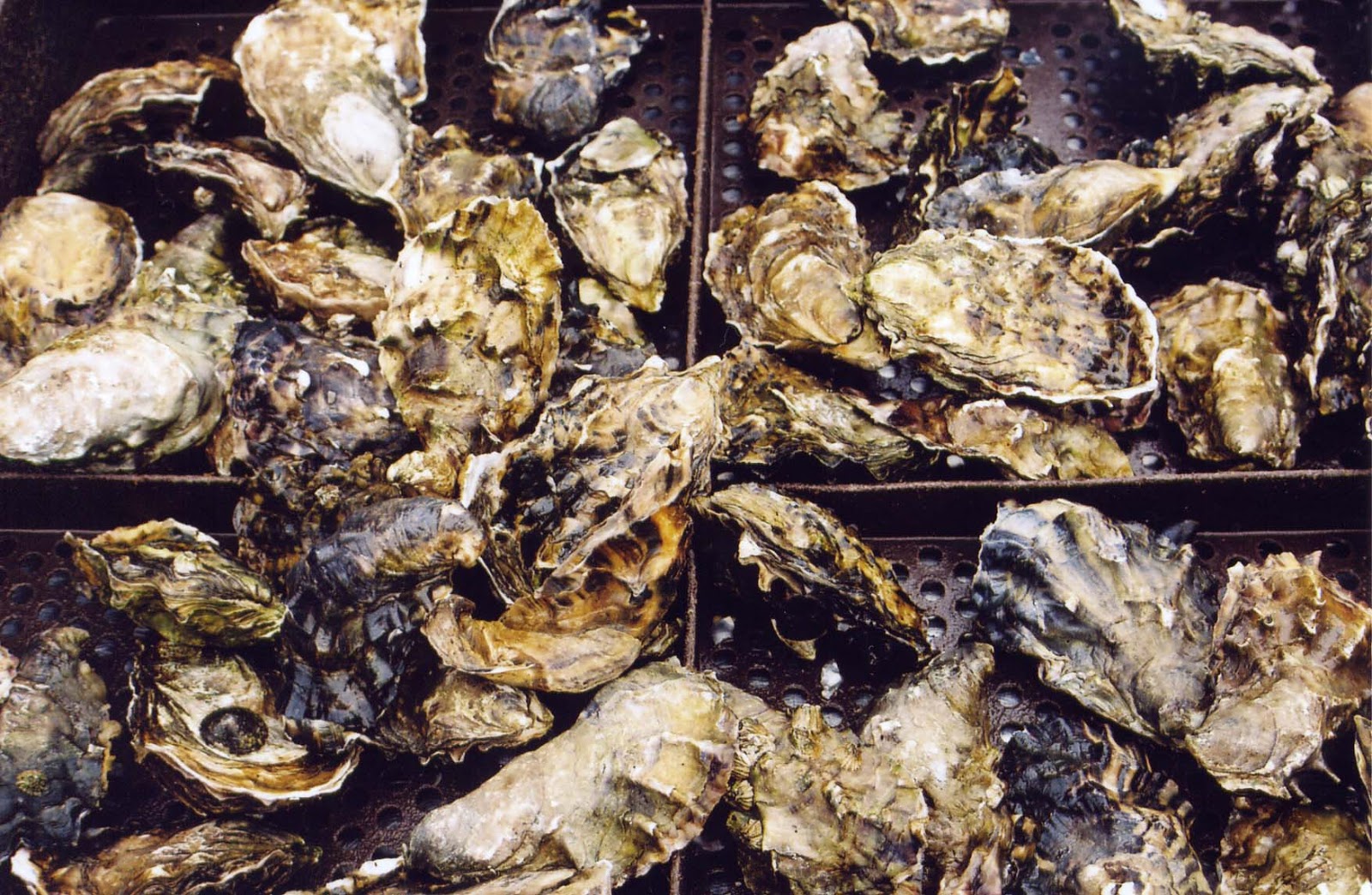 The Aquaculturists: 29/11/2017: DNREC to accept applications for Inland ...