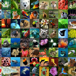 Biological Diversity