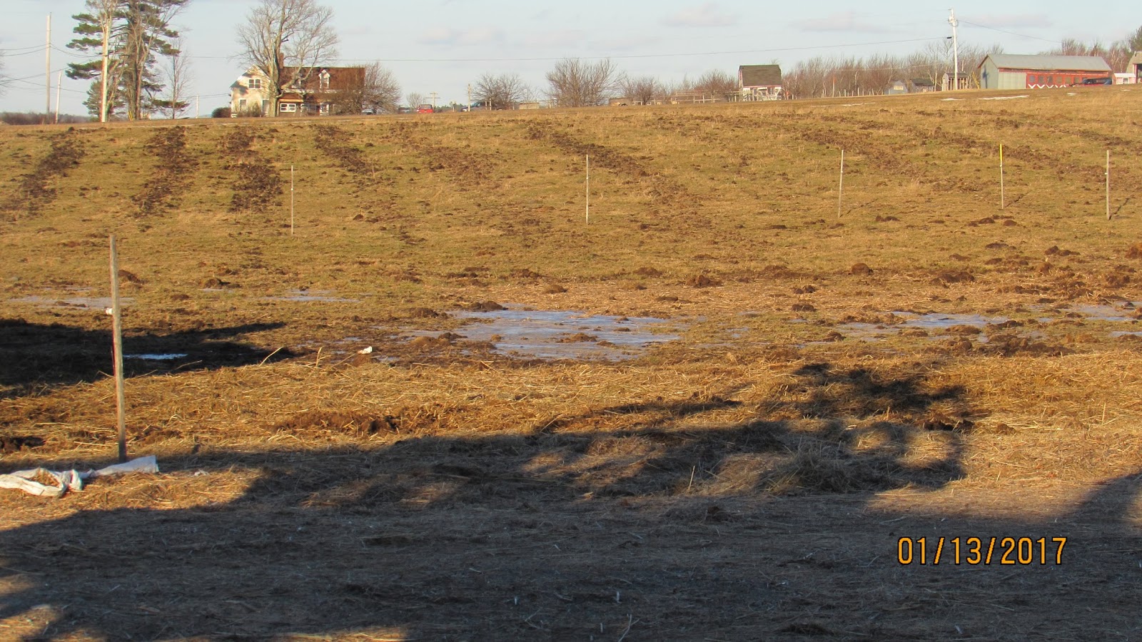 SweetLand Farm : ice be gone