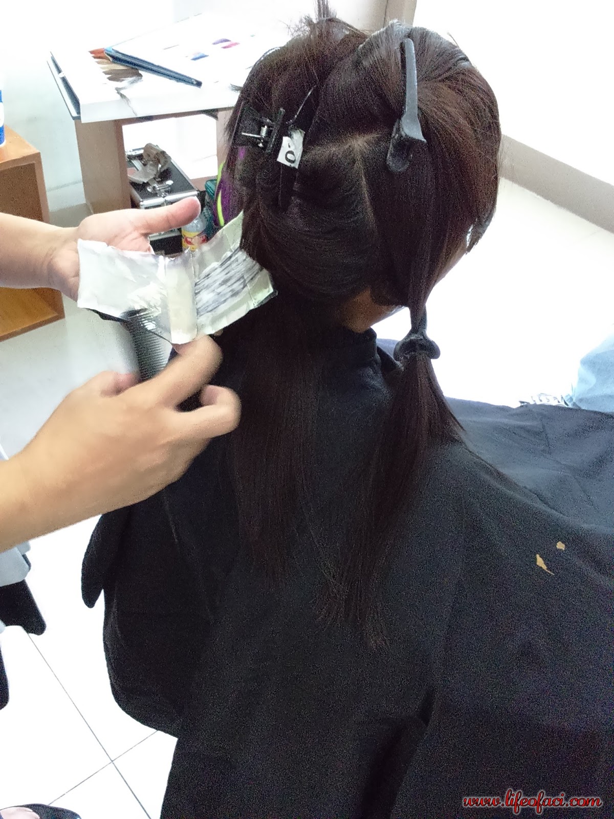 ELGON, Professional Hair Color From Milan Now in Manila + Fabulash from ...